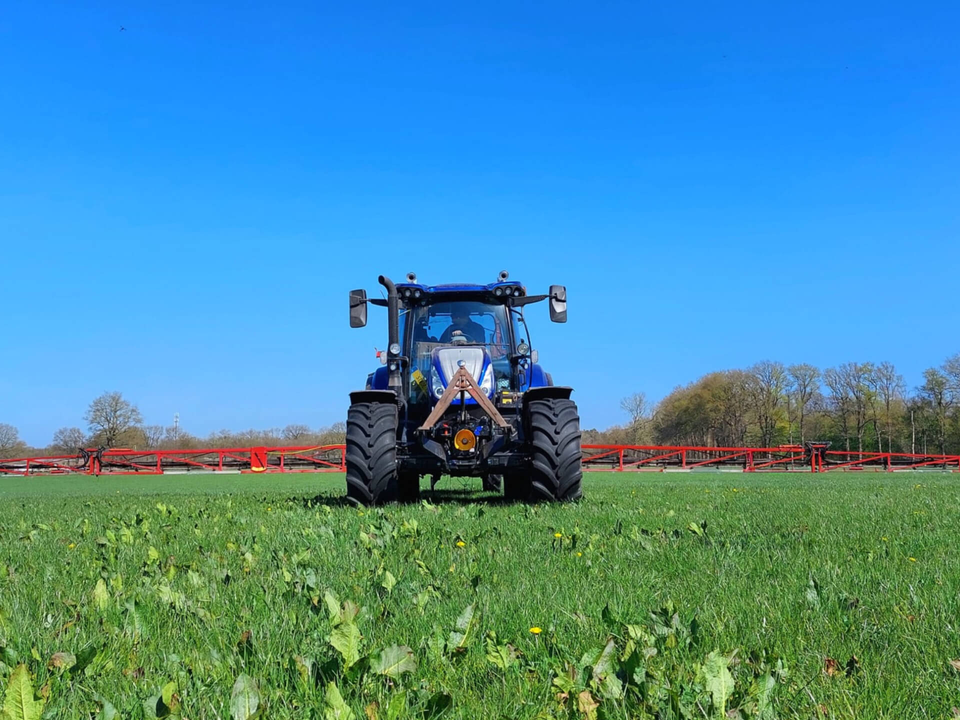 ProClova toegelaten als herbicide in grasland | AR